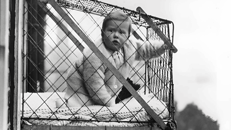 27 Funny Historical Events You Won’t Believe - Boomset